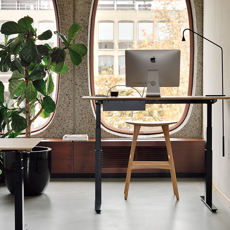 Ethnicraft Bok Adjustable Desk | Olson & Baker